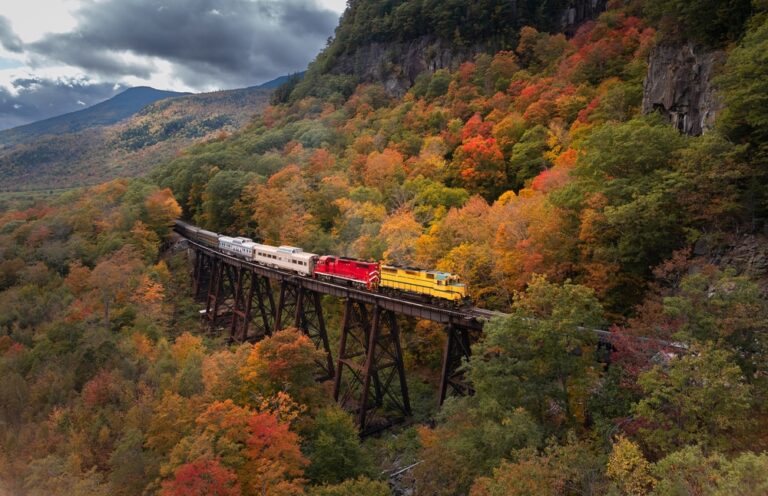 America's Largest Model Train Store | Charle's Ro